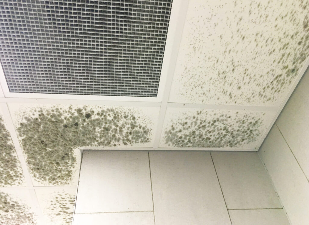 How To Fix Water Dripping From Your Air Vents? | HVAC Issues
